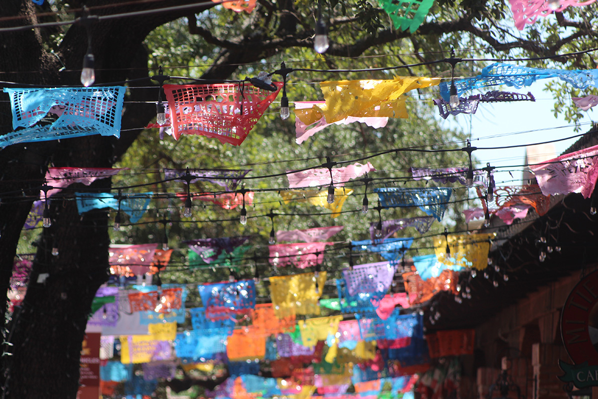 Interactive Map of Vida San Antonio TX - VIDA